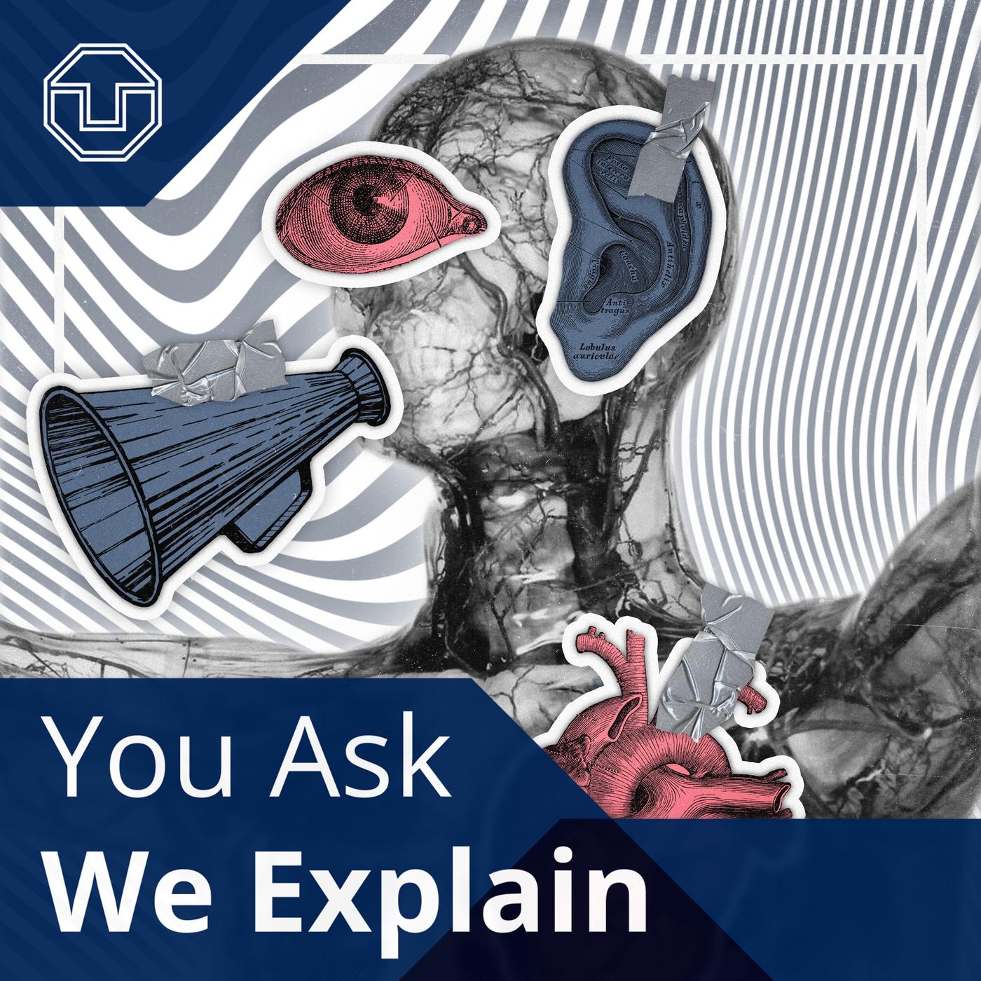 Licht aus – Erinnerung an Teil 2 - You Ask We Explain (podcast ...