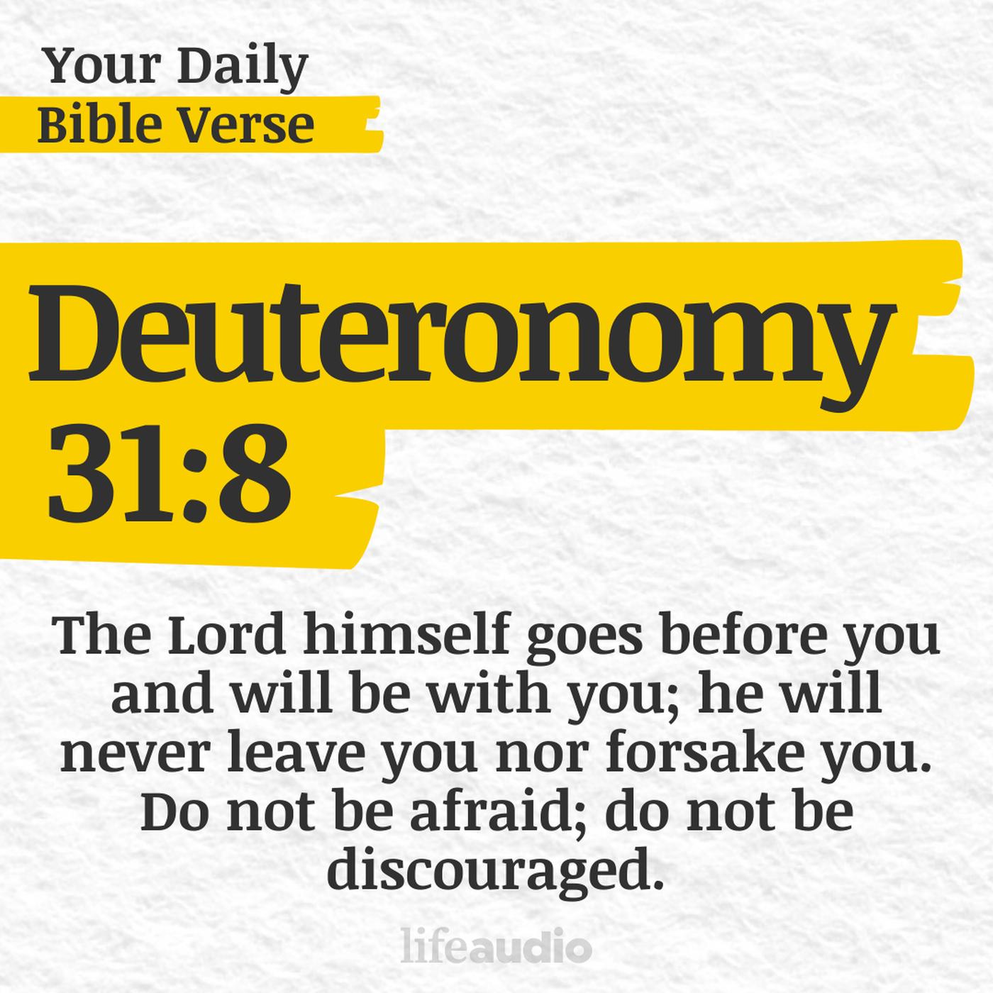 Why We Need Not Fear (Deuteronomy 31:8) - Your Daily Bible Verse ...