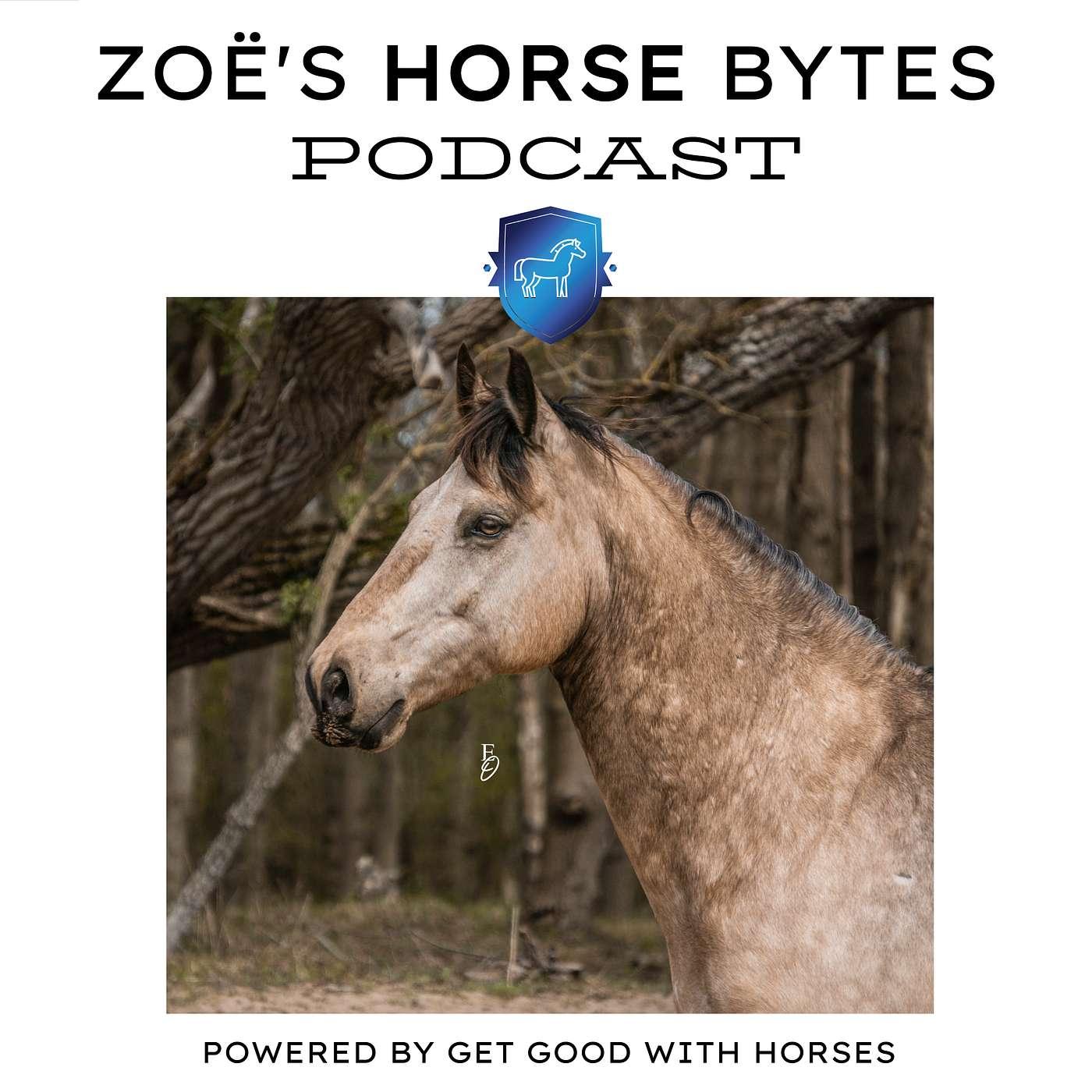 35. Help! I can't catch my horse - Zoë's Horse Bytes (podcast) | Listen ...