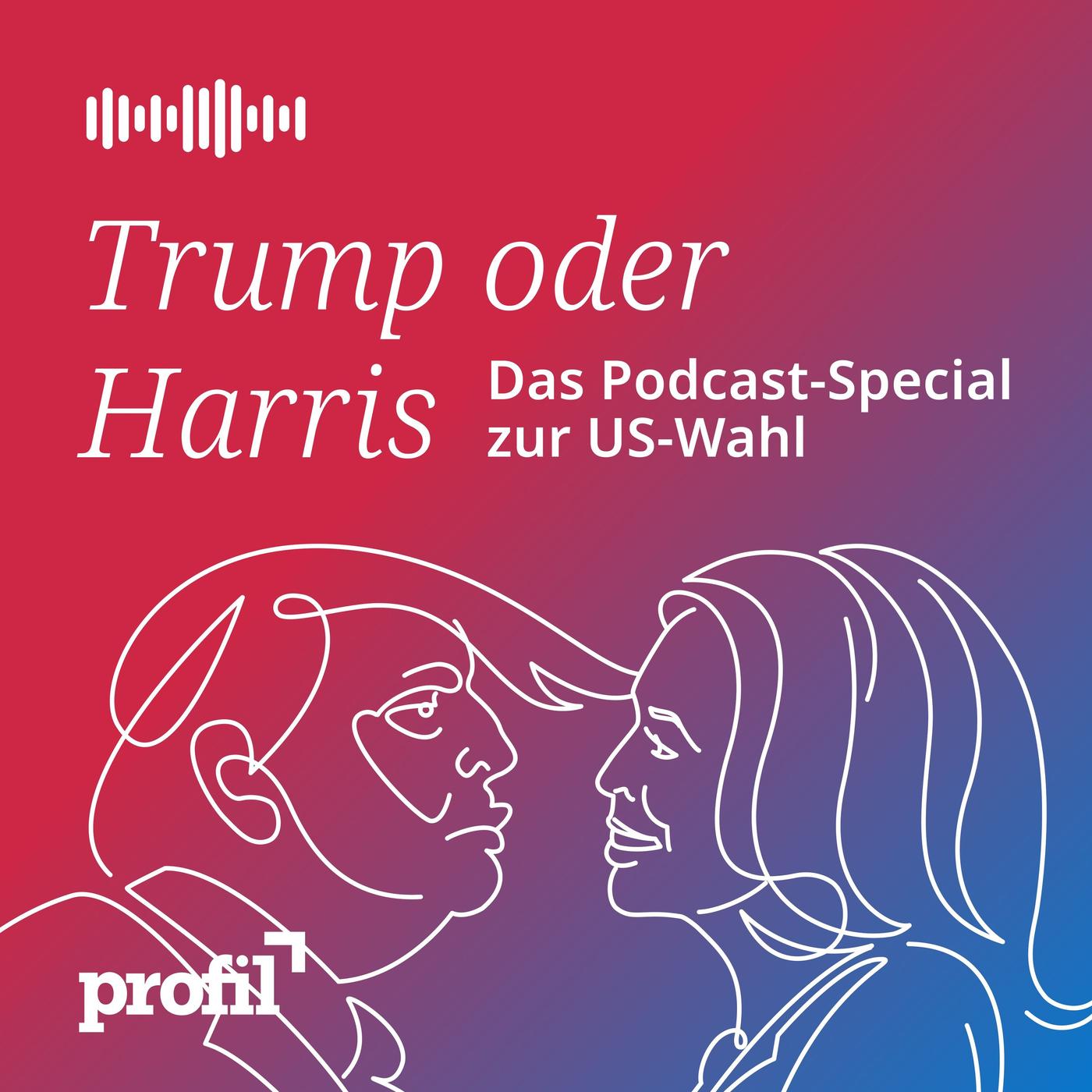 Resilienz: Wie werden wir mit Krisen fertig? - Zur Frage der Nation. Der profil-Politikpodcast ...